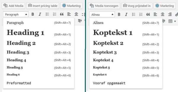 Hoe gebruik je heading tags? (h1, h2, h3) | Business Blog School